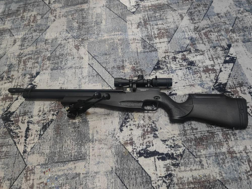 Reximex Daystar купить - Волгоград